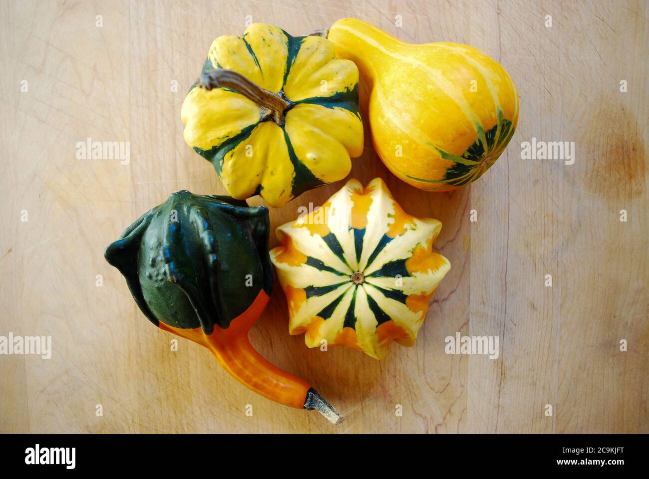 Miniature varieties hi-res stock photography and images - Alamy
