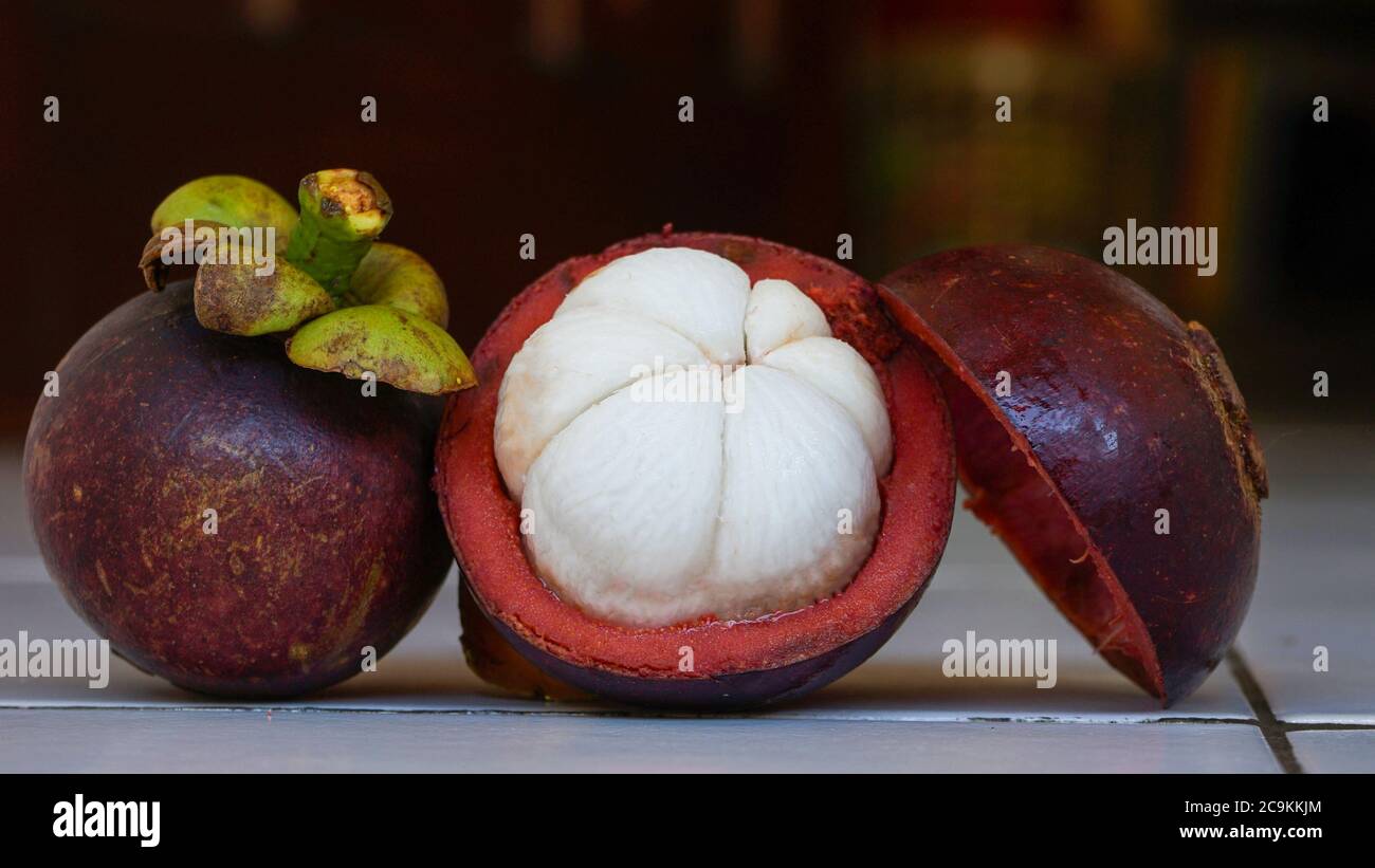 Purple mangosteen tree hi-res stock photography and images - Alamy