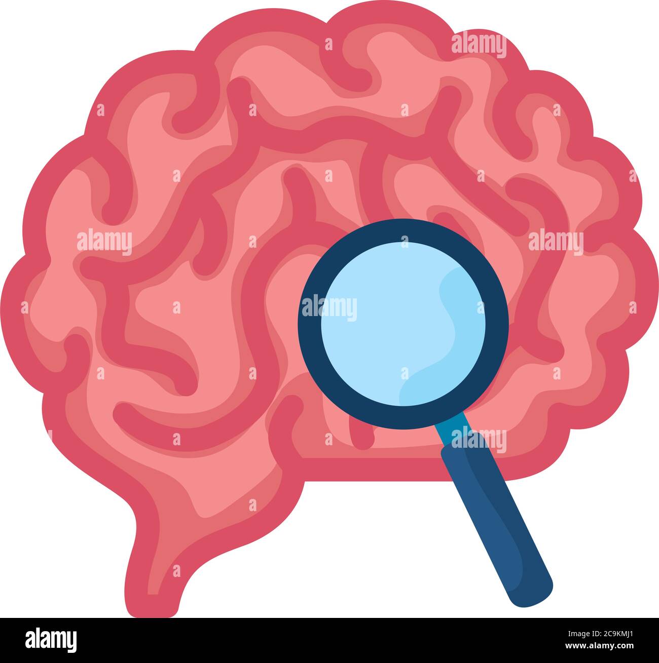 brain exploration with magnifying glass, on white background Stock ...