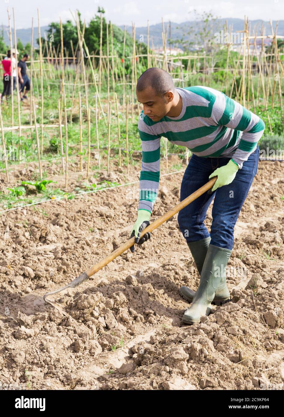 Portrait of working Indian with hoe on farm field Stock Photo - Alamy