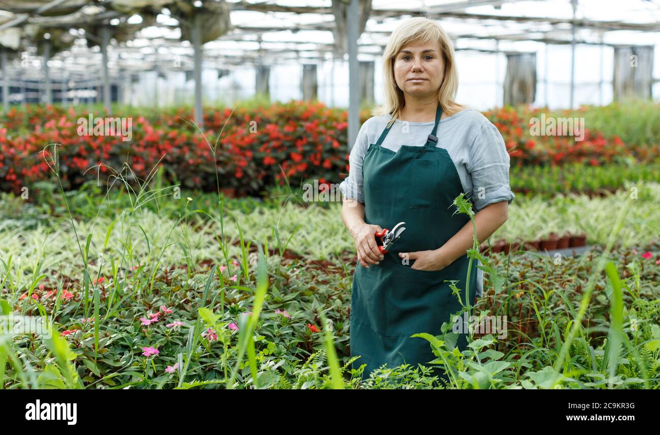 Portrait of mature female gardener standing near different plants in ...