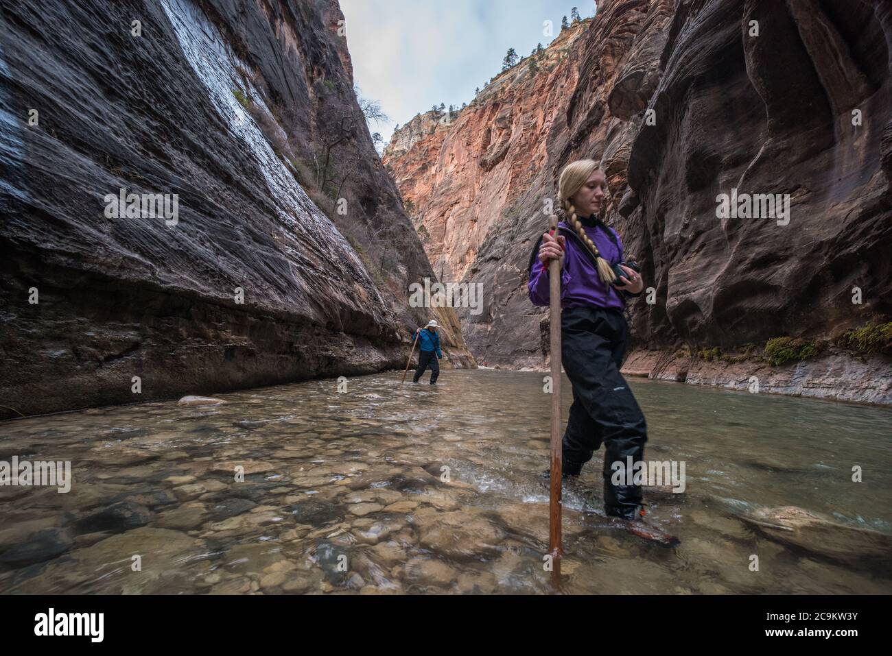 The narrows hike in Zion National park involves walking and wading ...