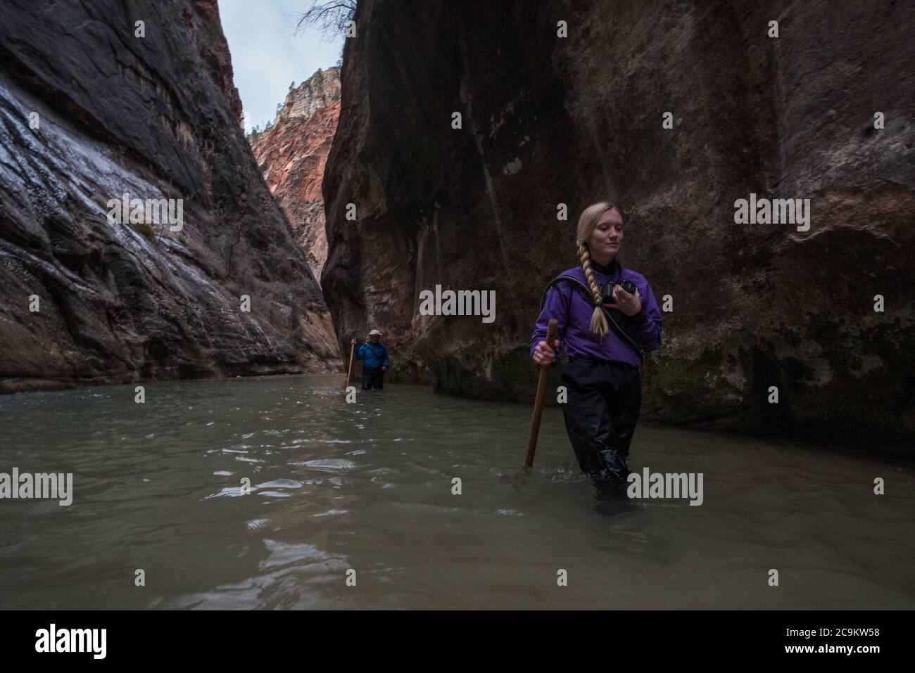 The narrows hike in Zion National park involves walking and wading ...