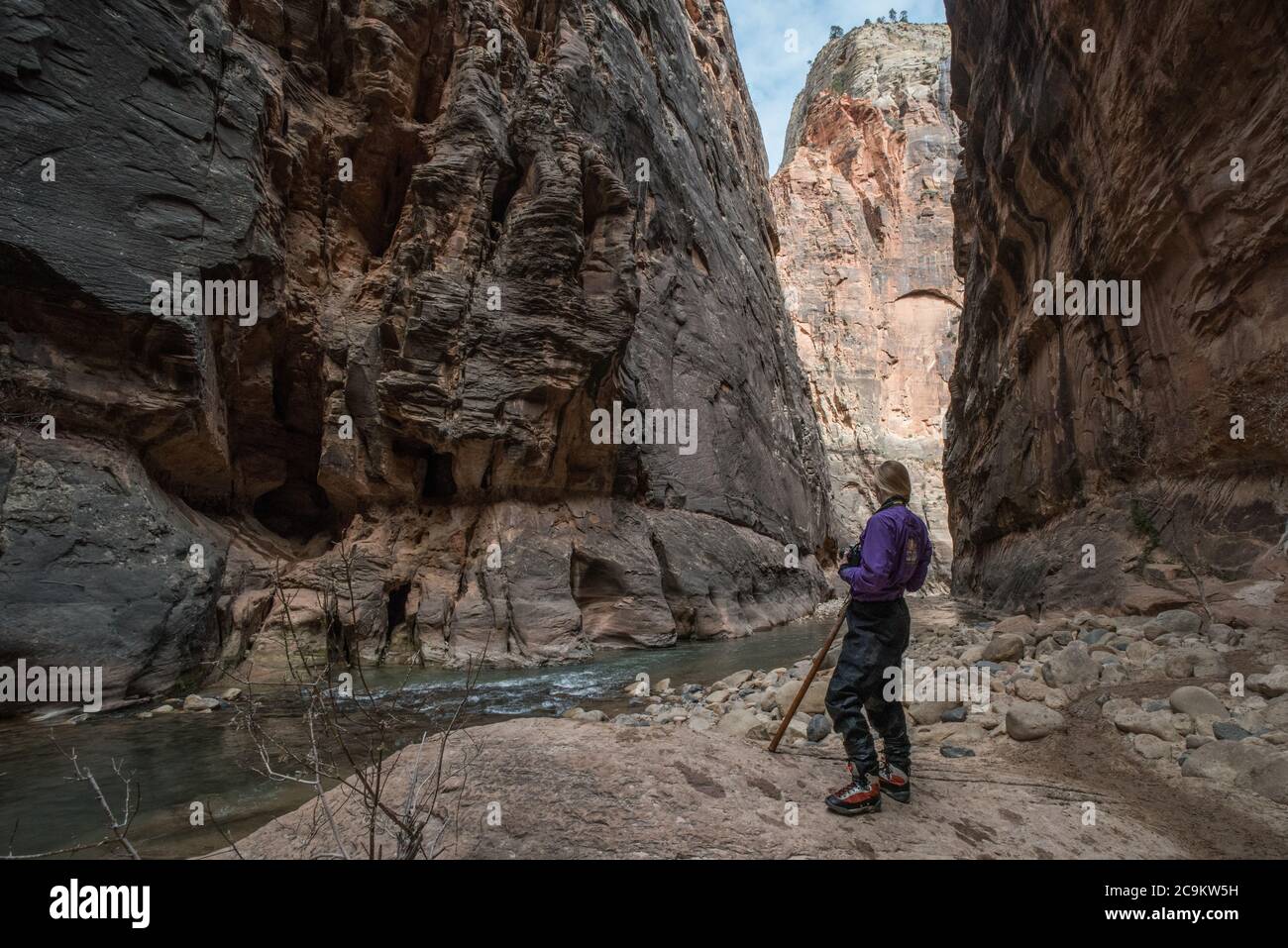 The narrows hike in Zion National park involves walking and wading ...