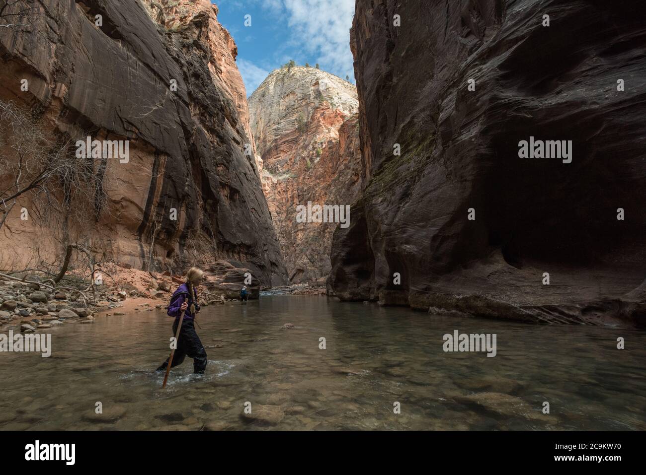 The narrows hike in Zion National park involves walking and wading ...