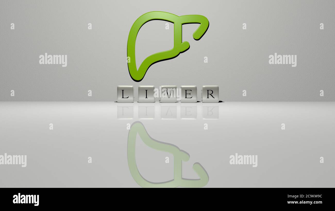 3D graphical image of liver vertically along with text built by ...