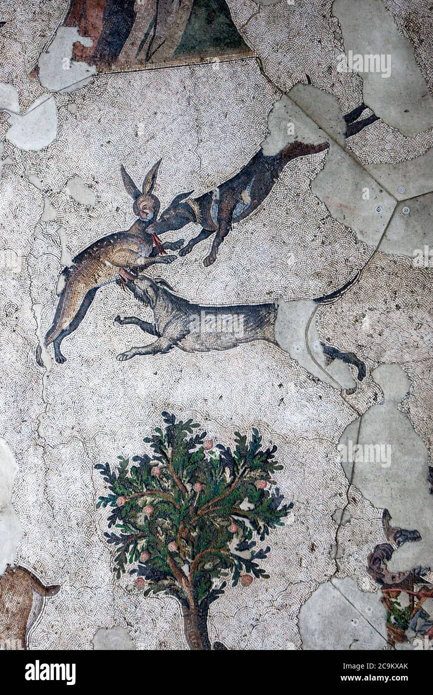 Byzantine 5th century mosaics from the Great Palace Mosaic at the ...