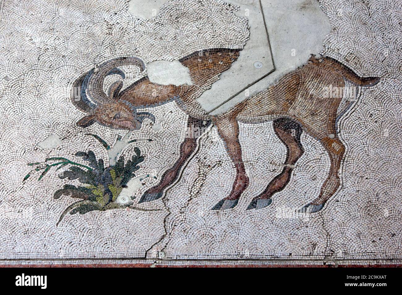 Byzantine 5th century mosaics from the Great Palace Mosaic at the ...