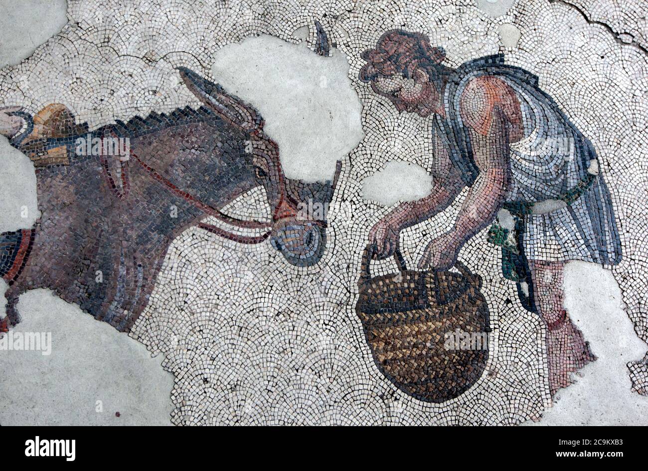 Byzantine 5th century mosaics from the Great Palace Mosaic at the ...