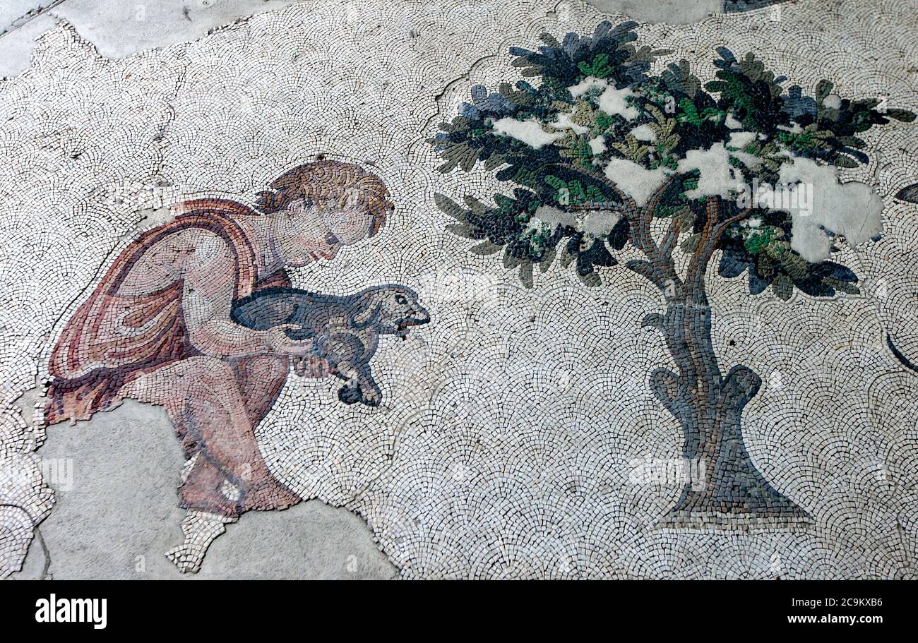 Byzantine 5th century mosaics from the Great Palace Mosaic at the ...