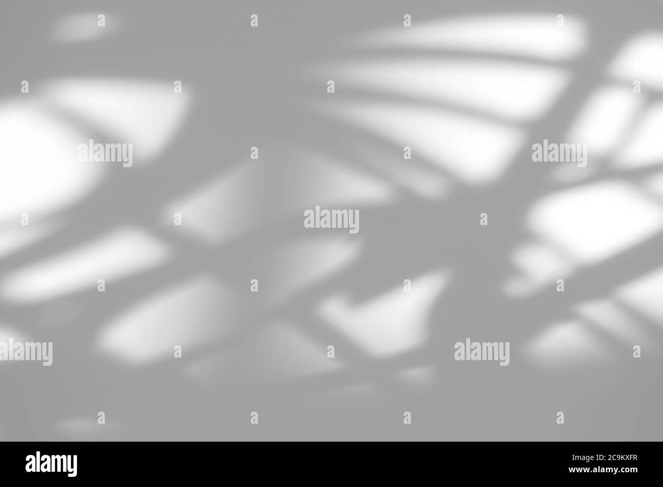 Organic drop shadow on a white wall Stock Photo - Alamy