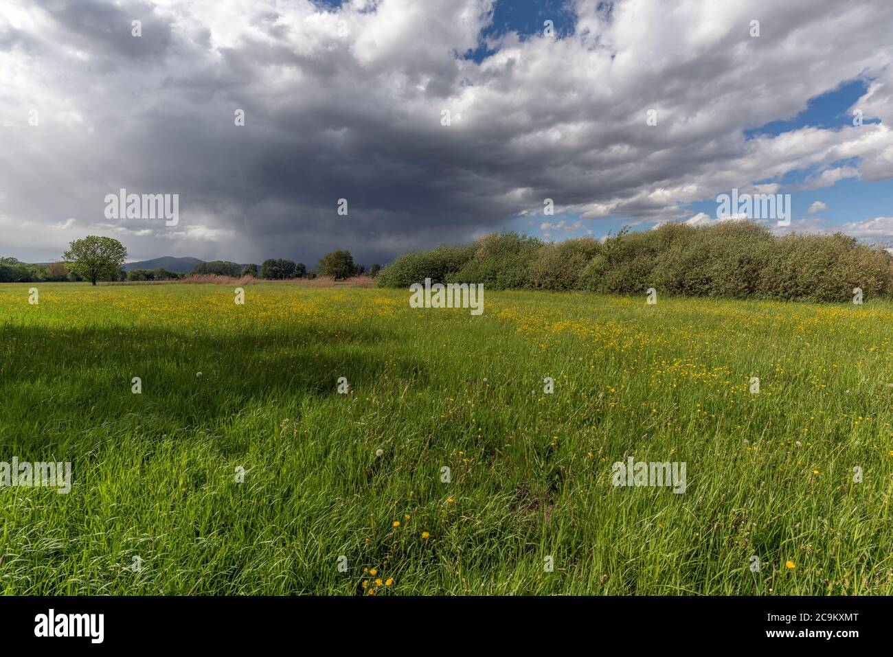 Green field and trees in the french countryside Stock Photo - Alamy