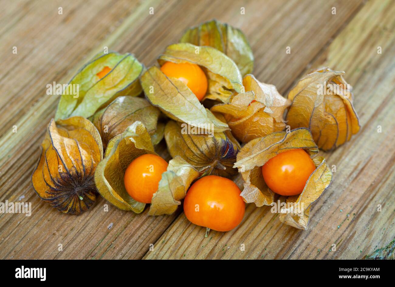 Ripe orange fruits of Physalis peruviana in dry calyxes on wooden ...