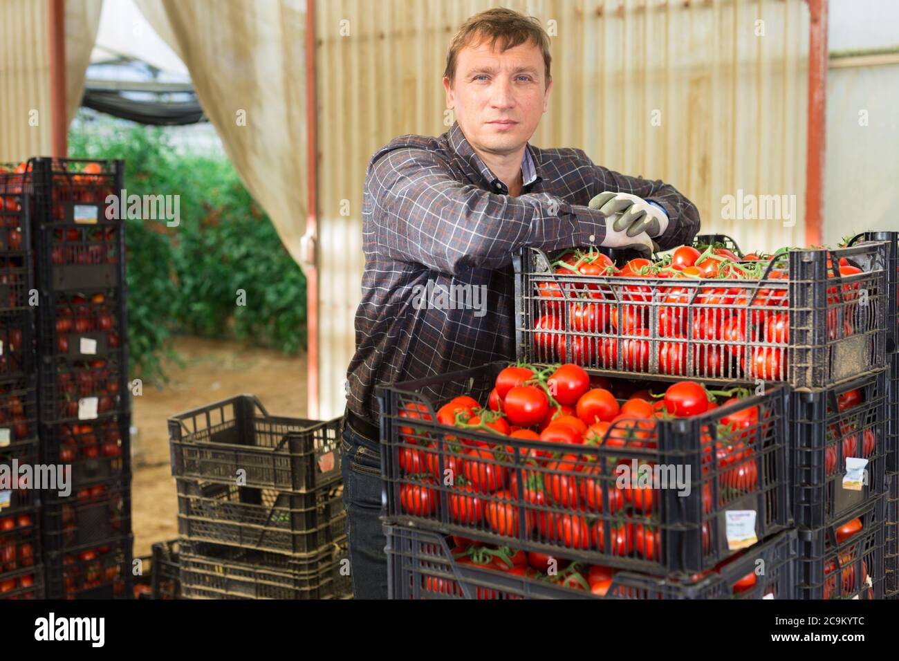 Positive male worker carrying and stacking crates with harvested ...