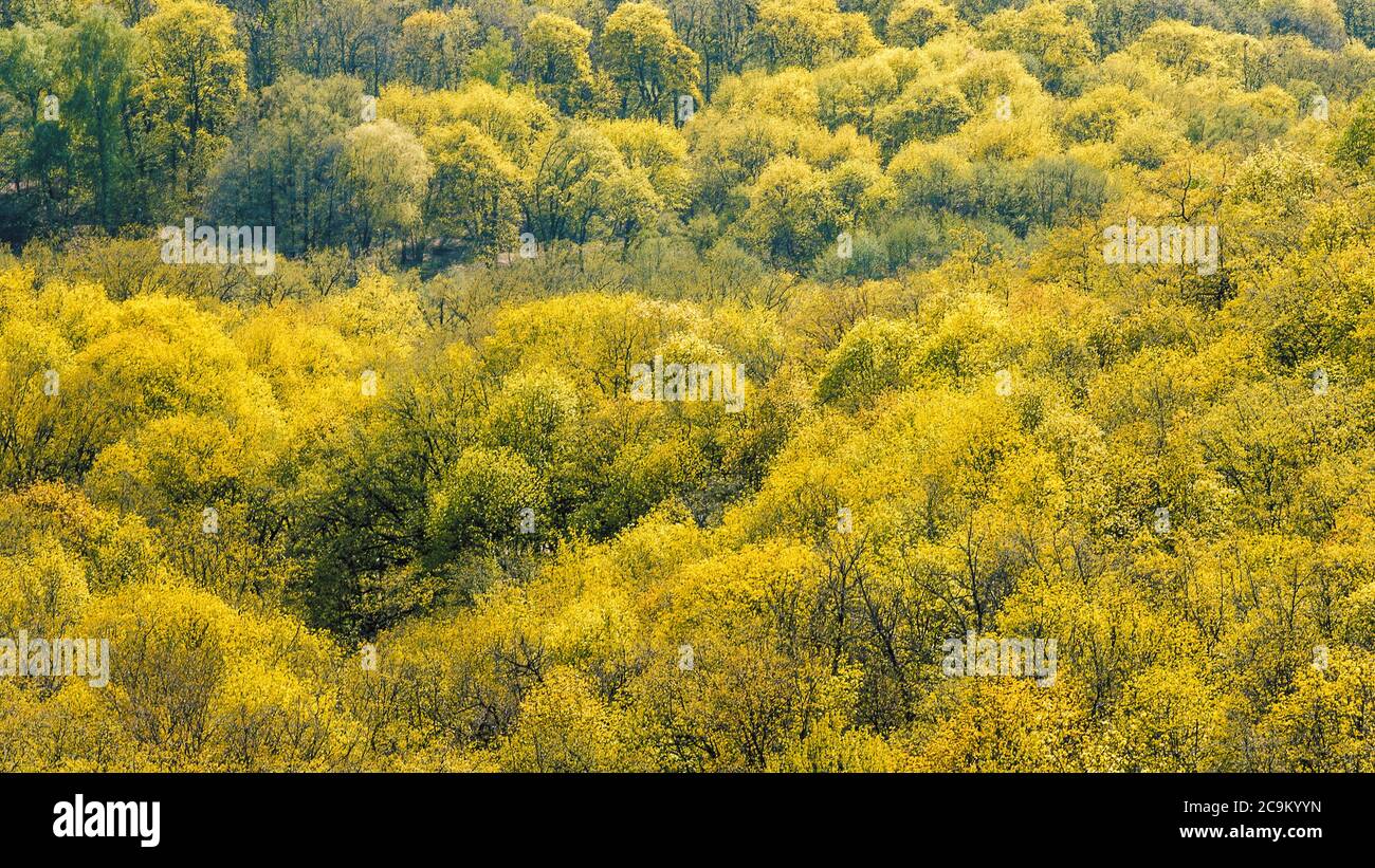 Aerial view of parkland in fall. Autumn forest hills Stock Photo - Alamy