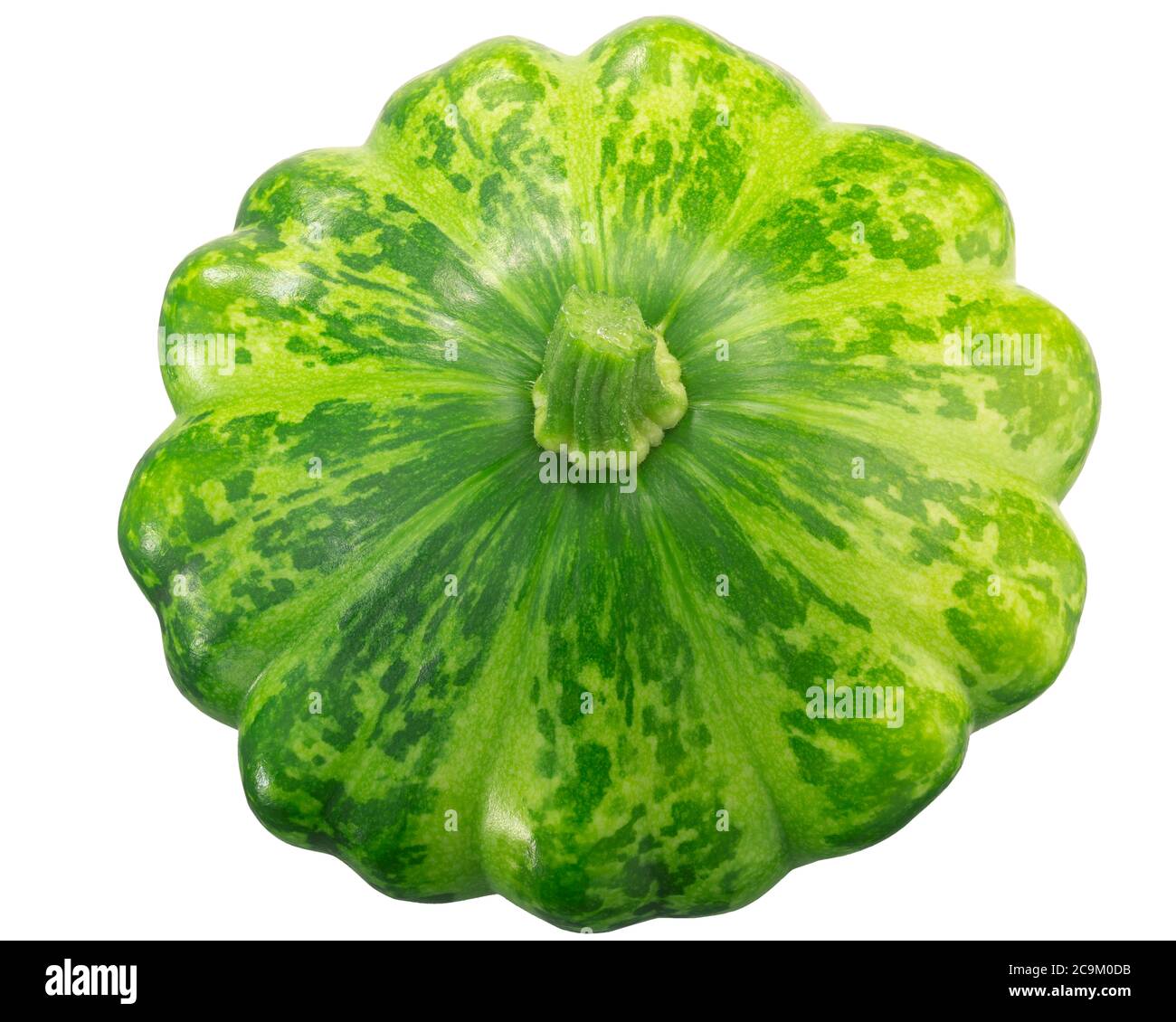 Pattypan squash (Cucurbita pepo fruit), green disk variety, isolated ...