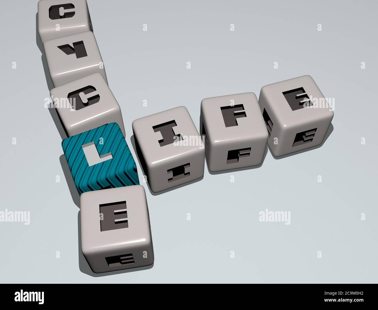 LIFE CYCLE combined by dice letters and color crossing for the related ...