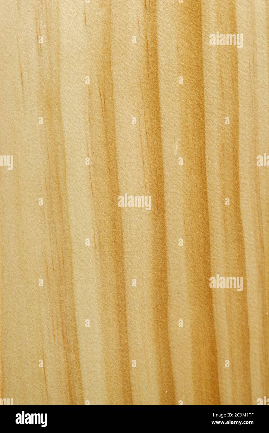 Stripey solid pine wooden texture background, natural varnish, real ...
