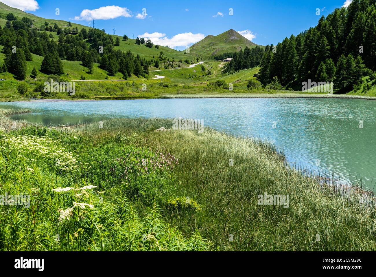 Small alpine lake near Col de Vars on the French Alps Stock Photo - Alamy