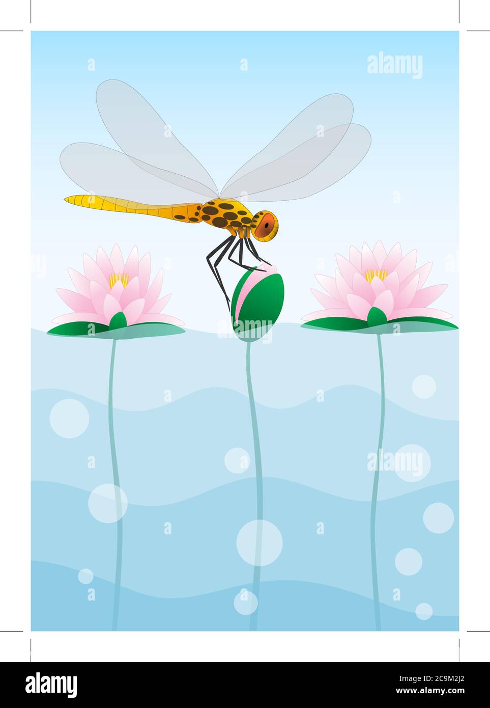 Dragonfly sitting on the water lily Stock Vector Image & Art - Alamy