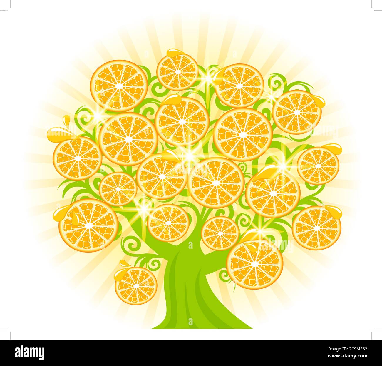 Citrus fruit as a sun vector hi-res stock photography and images - Alamy