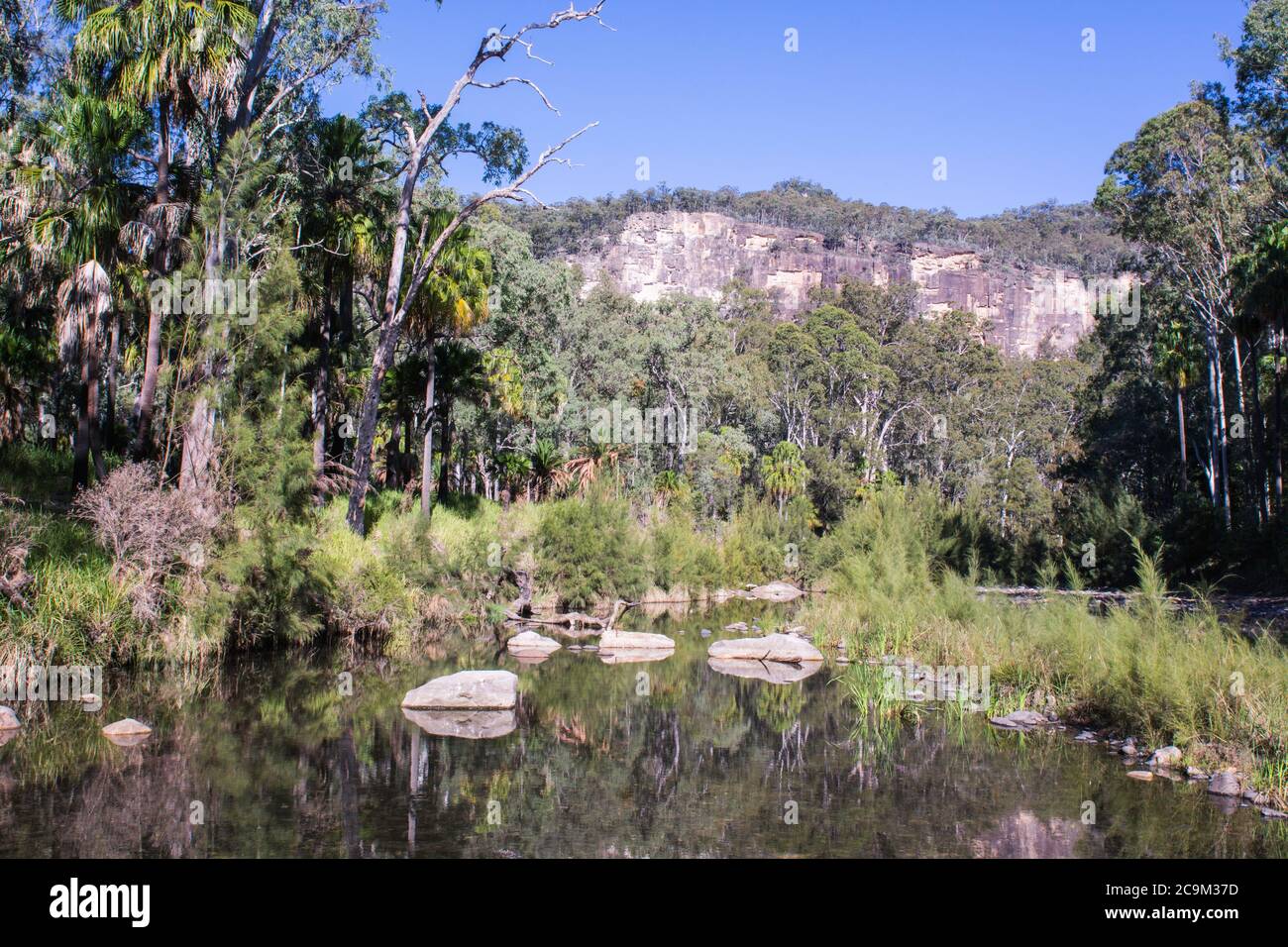 Carnarvon Gorge National Park, Queensland, Australia Stock Photo - Alamy