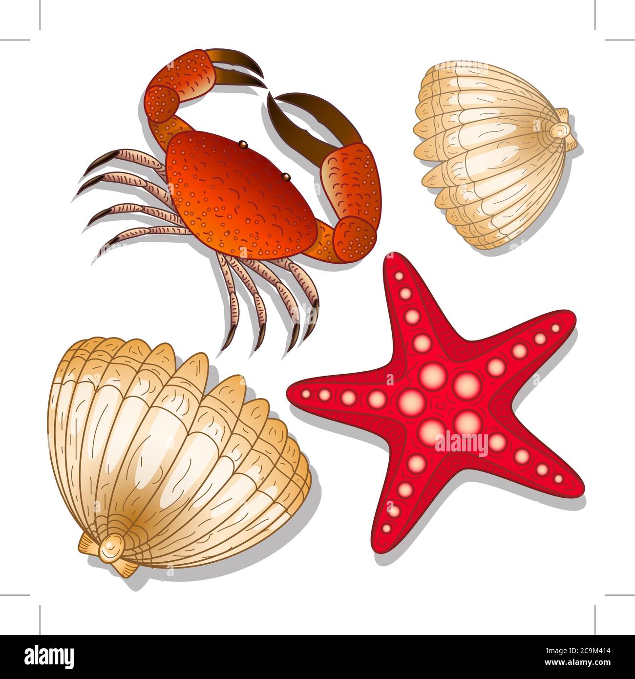 Set of marine inhabitants. Crab, starfish and shell. White background ...