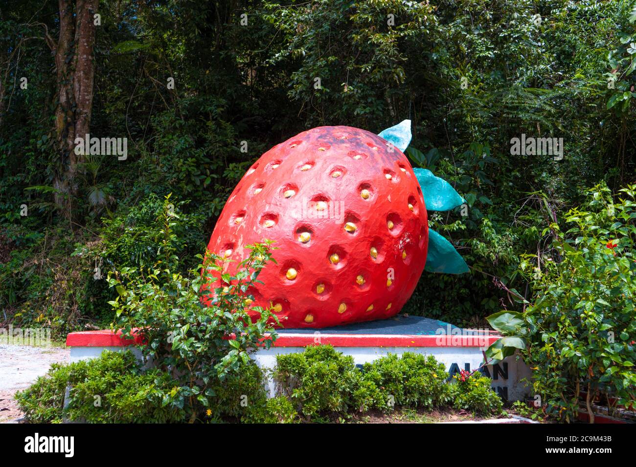 A sculpture of a huge red strawberry on the side of the road ...