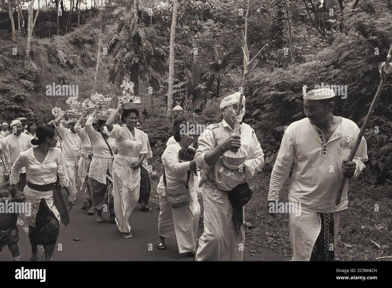 Purifying the spirits: Members of a Balinese family march during a ...