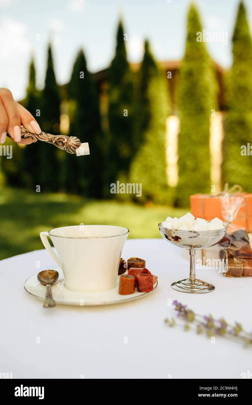 Woman setting table breakfast hi-res stock photography and images - Alamy
