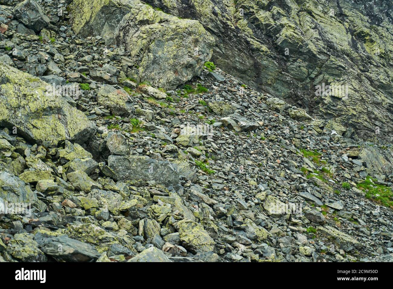 Mountain slope with scree (talus Stock Photo - Alamy
