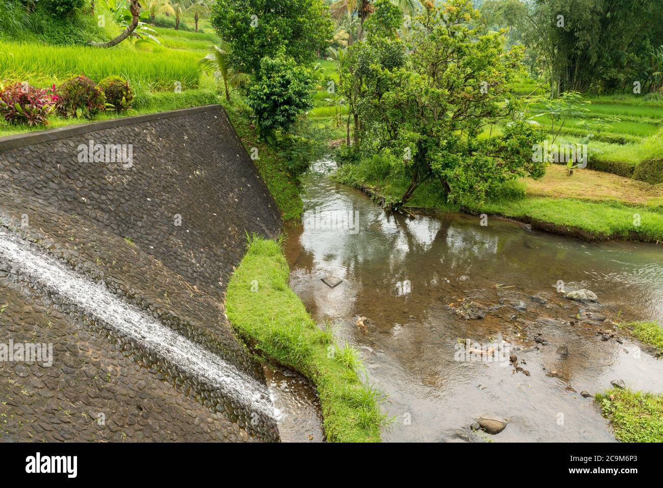 Water dam at Rice paddies Stock Photo - Alamy