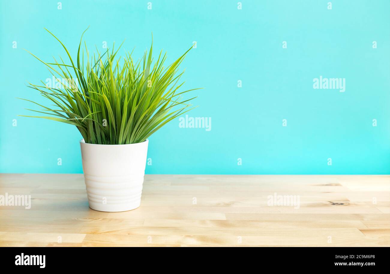 Grass in white pot on wood table.decoration with environment Stock ...