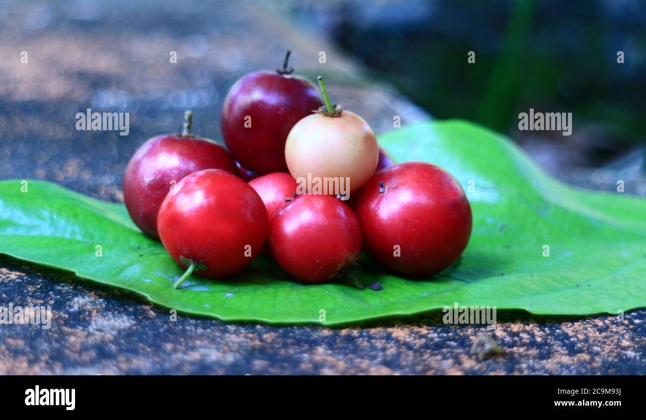 Lobi people hi-res stock photography and images - Alamy