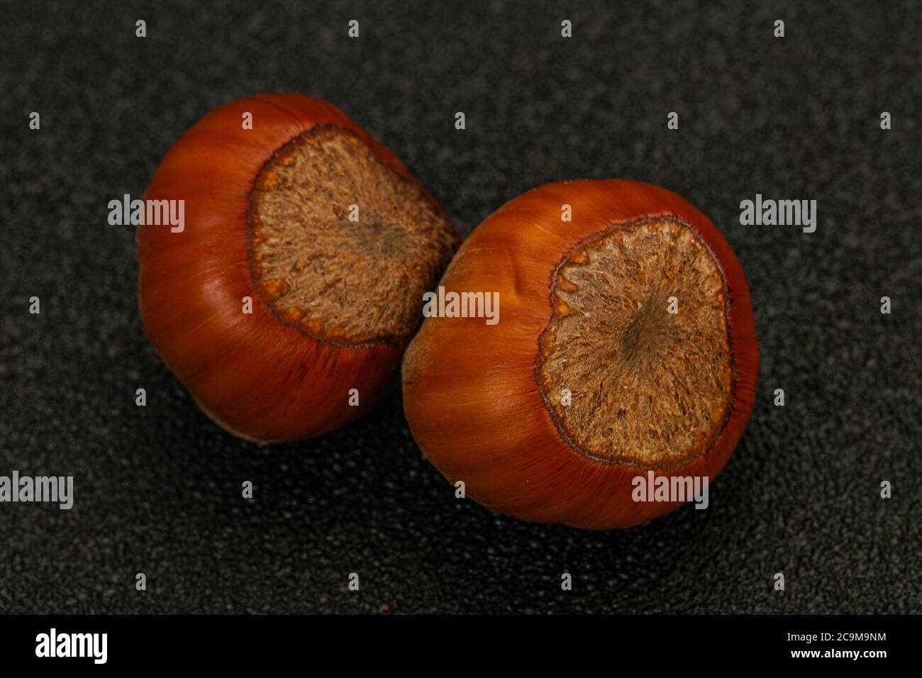 Two ripe tasty Whole hazelnut (hazel Stock Photo - Alamy
