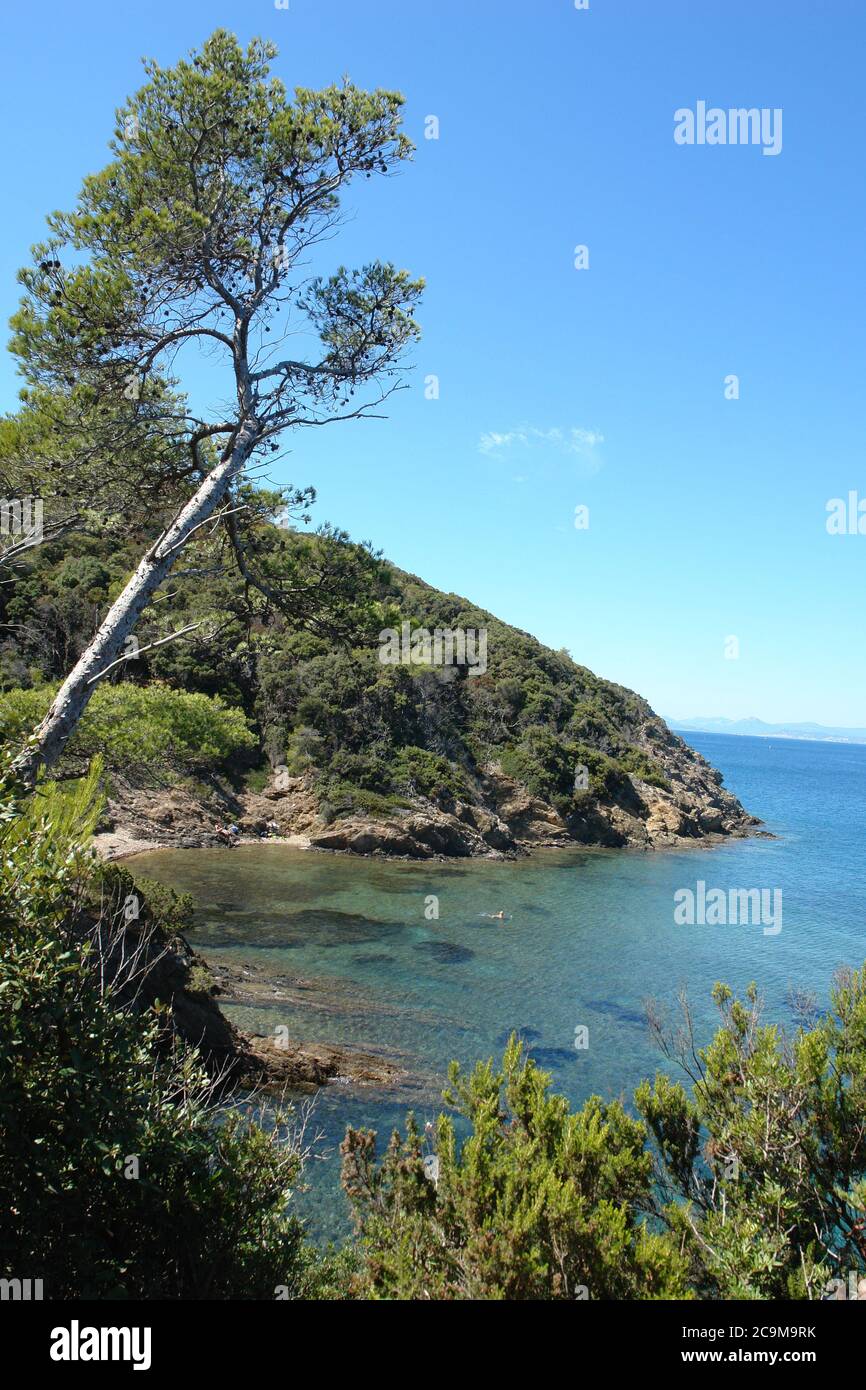 Ile de Port Cros national natural park Stock Photo - Alamy