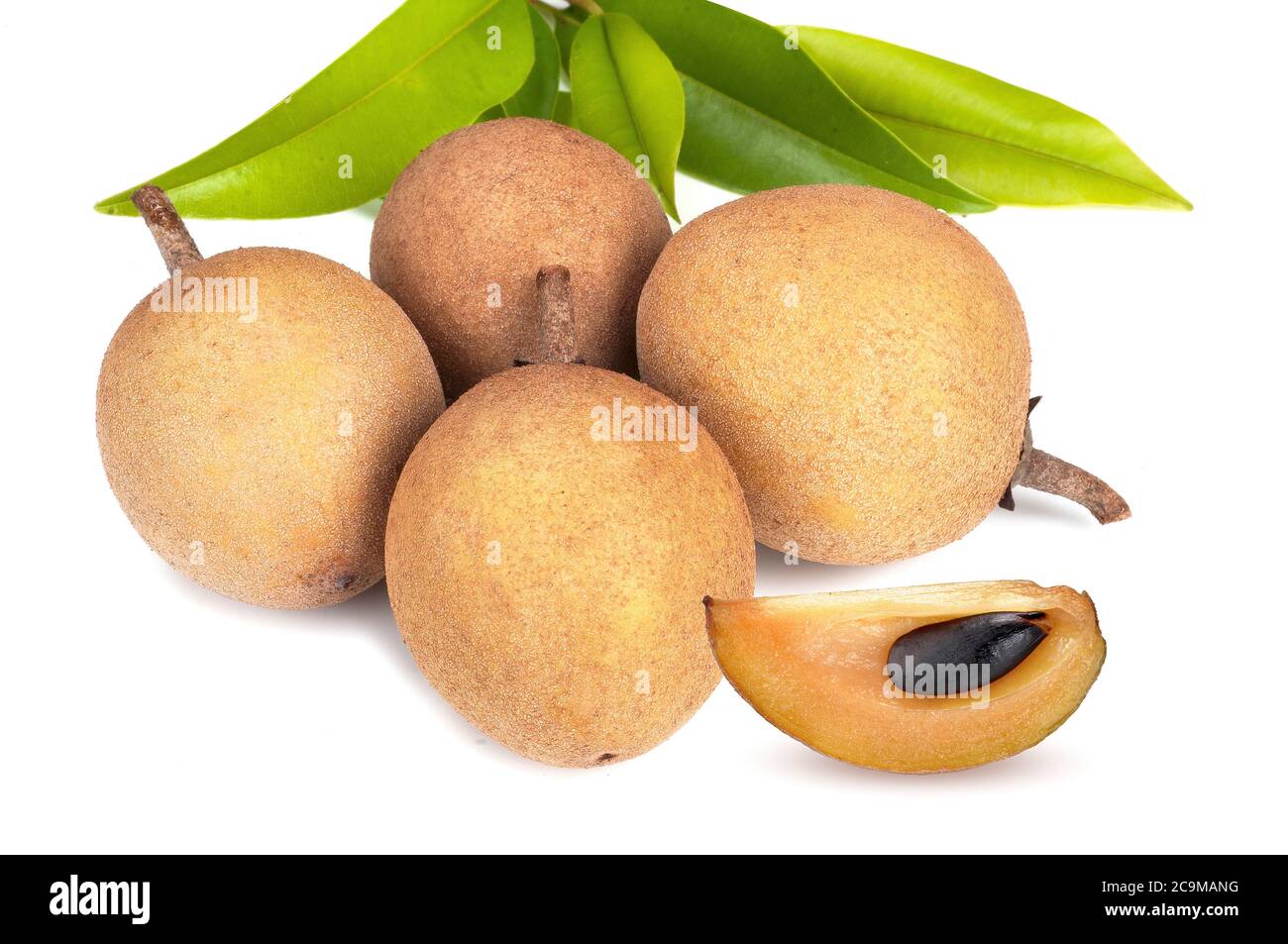 fresh sapodilla fruit Stock Photo - Alamy