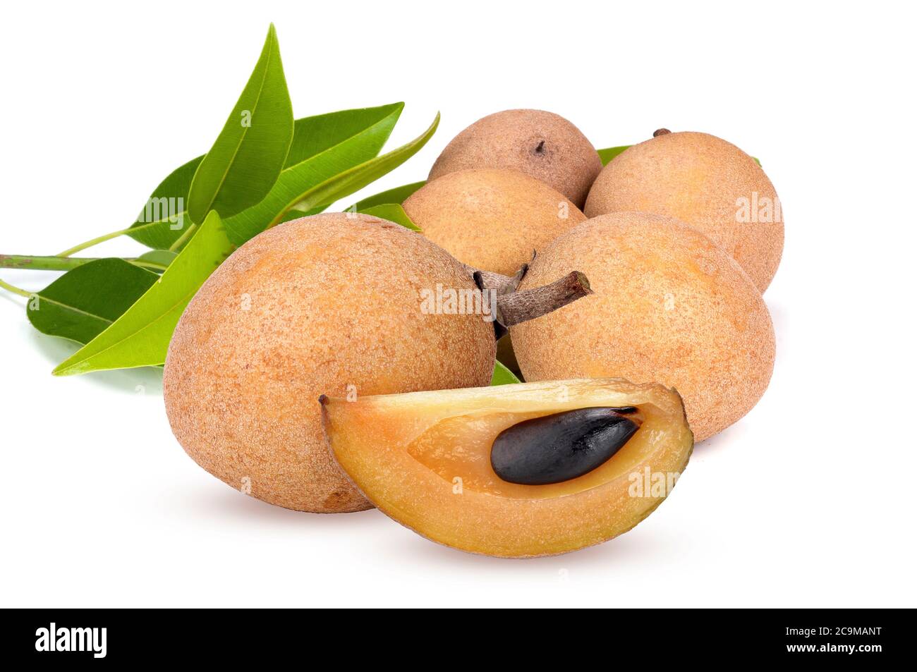 fresh sapodilla fruit Stock Photo - Alamy
