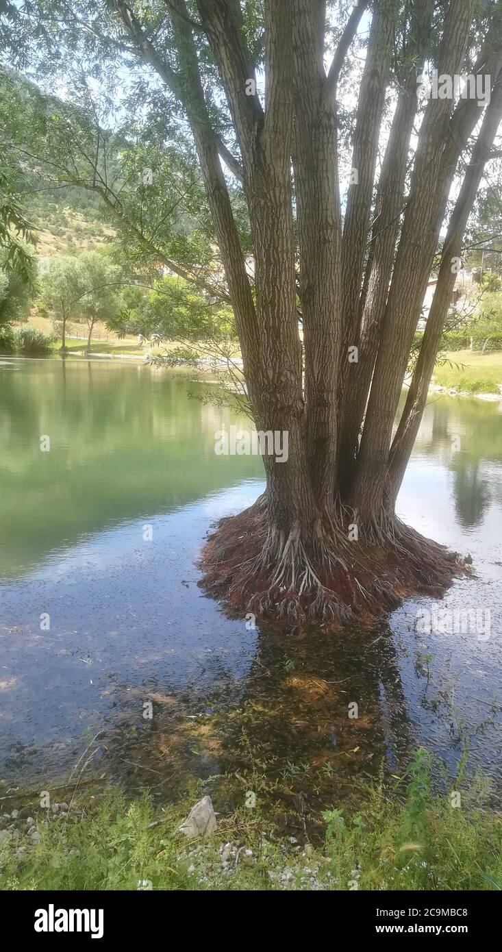 Landscape river field italy hi-res stock photography and images - Alamy