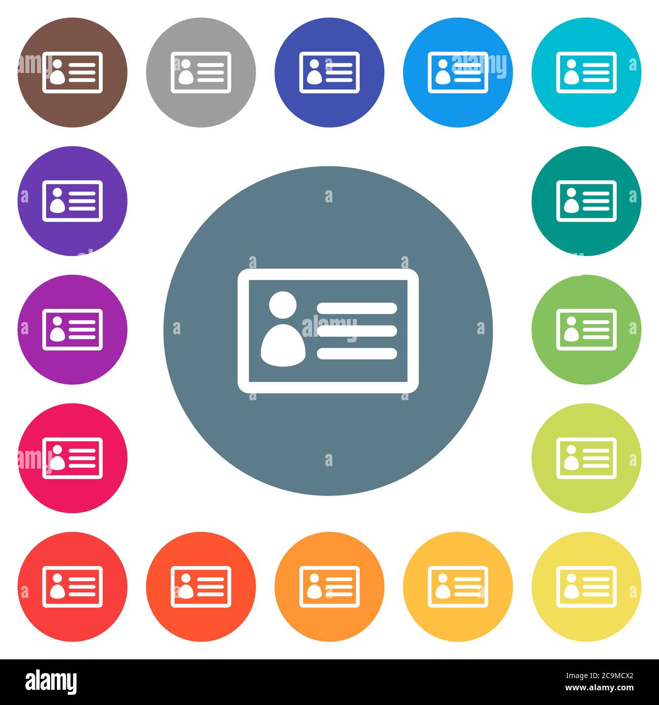 ID card flat white icons on round color backgrounds. 17 background ...