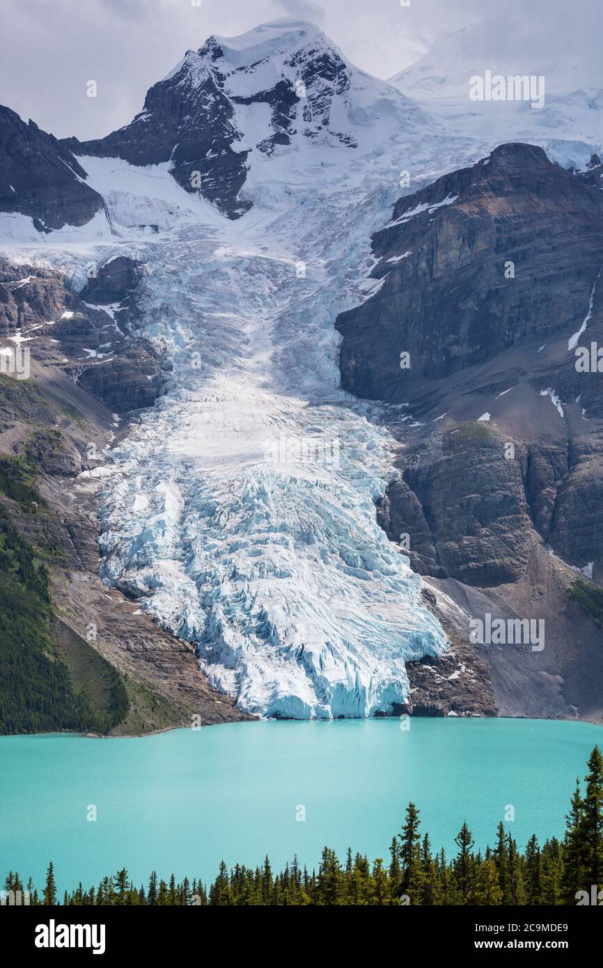 Beautiful Berg lake and Mount Robson in summer season, Canada Stock ...