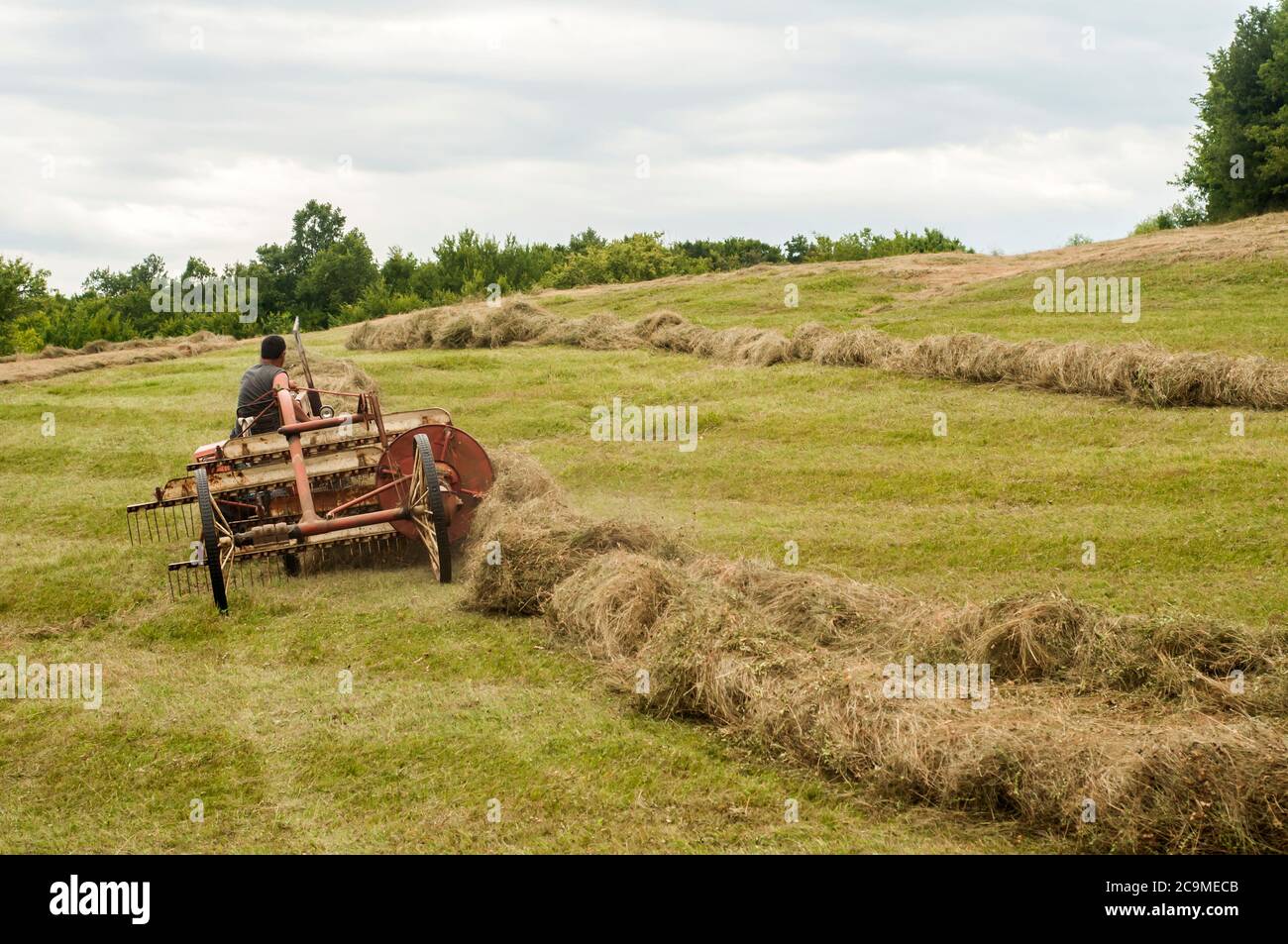 Collecting hay by vintage machines on mountain meadow in summertime ...
