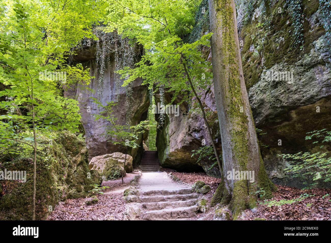 Rock Crevice High Resolution Stock Photography and Images - Alamy