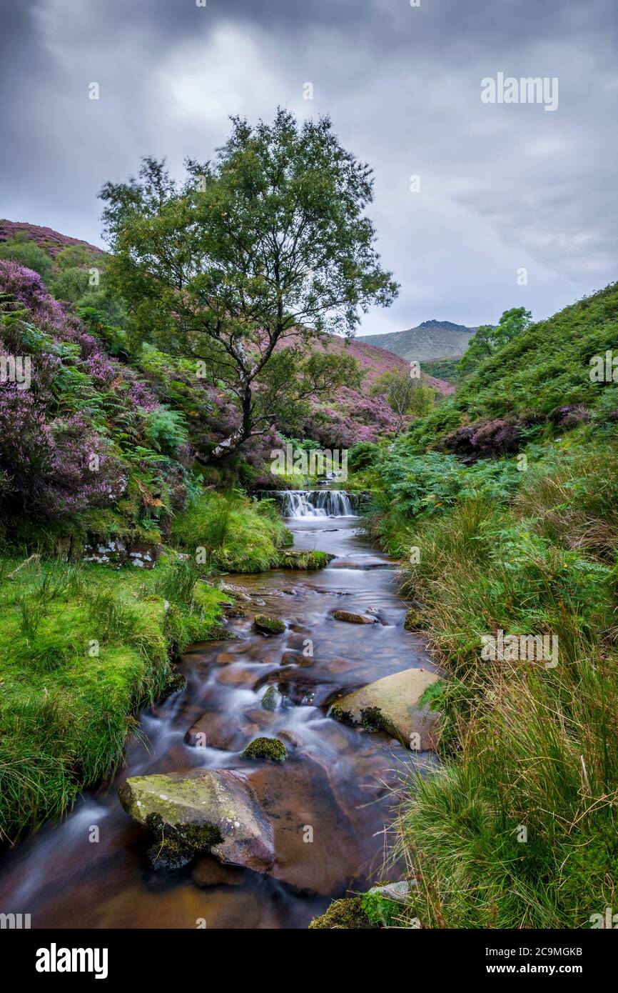 Clough brook hi-res stock photography and images - Alamy