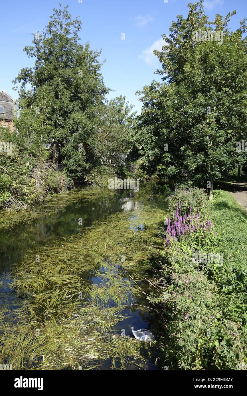 bishops stortford river stort canal walk, stort navigation, canal trust ...