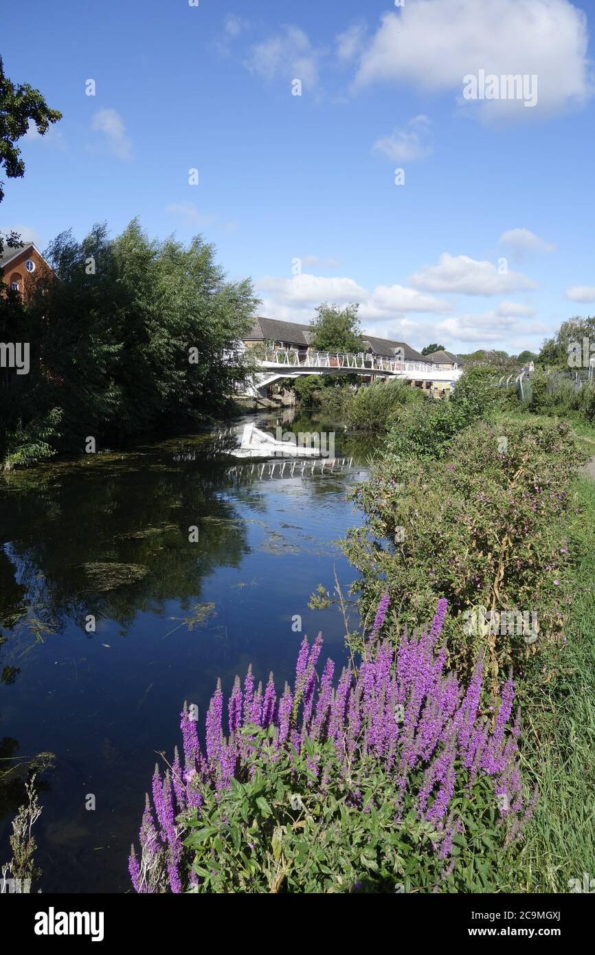 bishops stortford river stort canal walk, stort navigation, canal trust ...