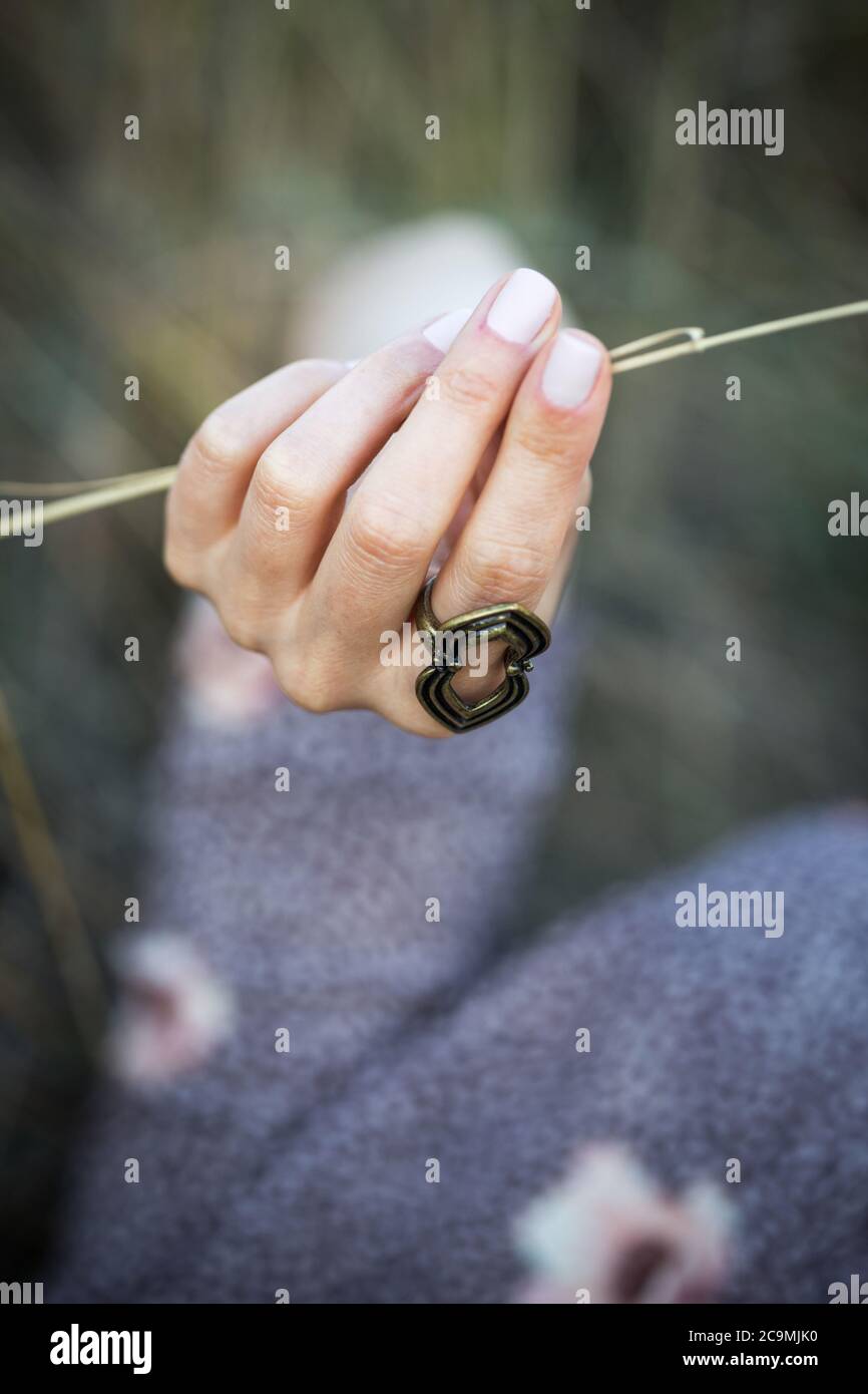 still life - a spikelet in a woman hand Stock Photo - Alamy