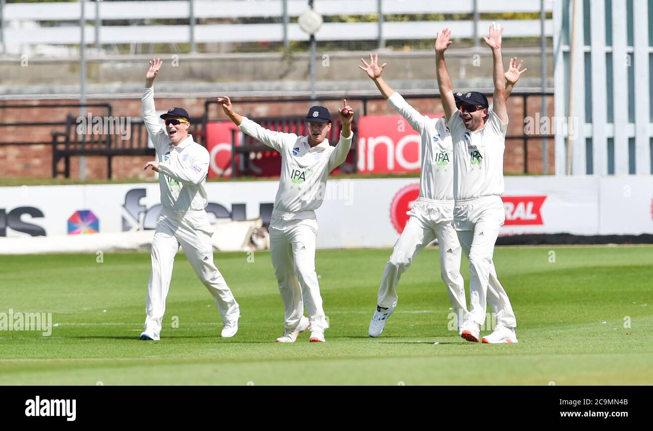 Fielding Cricket High Resolution Stock Photography and Images - Alamy