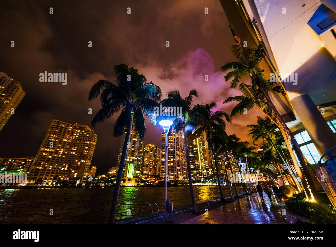 Palm trees and skyscrapers in Miami riverwalk at night. Southern ...