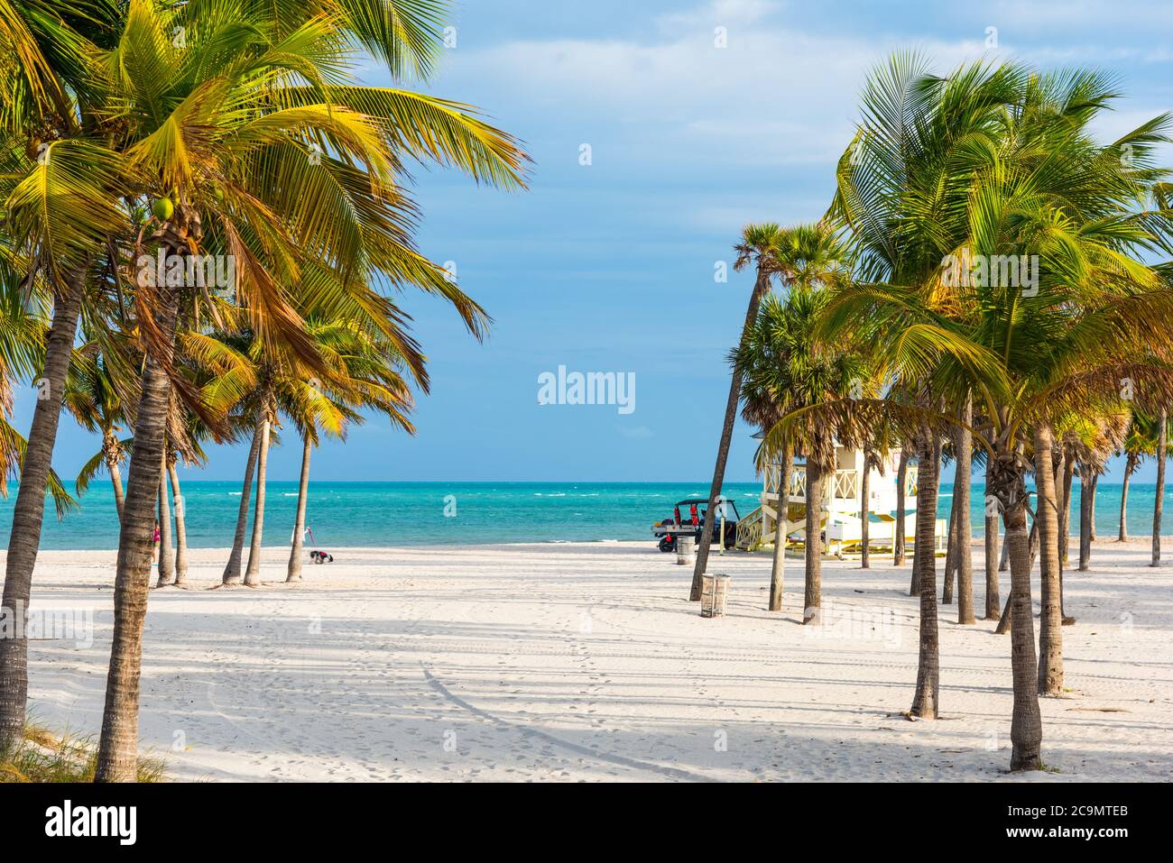 Palm trees and white sand in Key Biscayne. Miami, USA Stock Photo - Alamy